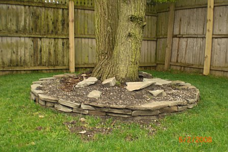 Pavers around Tree (w/ pics)