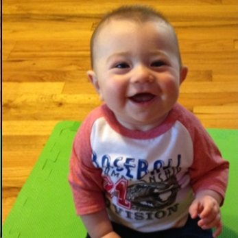 Gerber Photo Contest