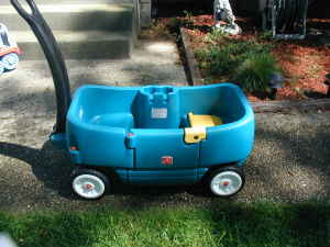 does anyone has this step 2 wagon?